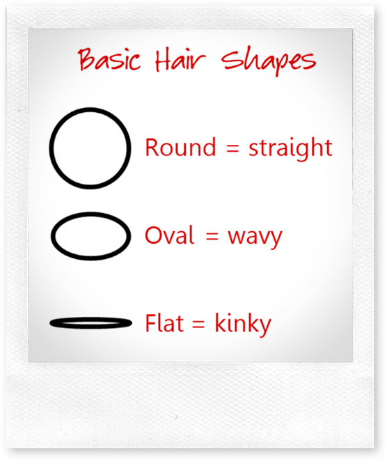 The Bingham Diaries: Hair 101: the basics